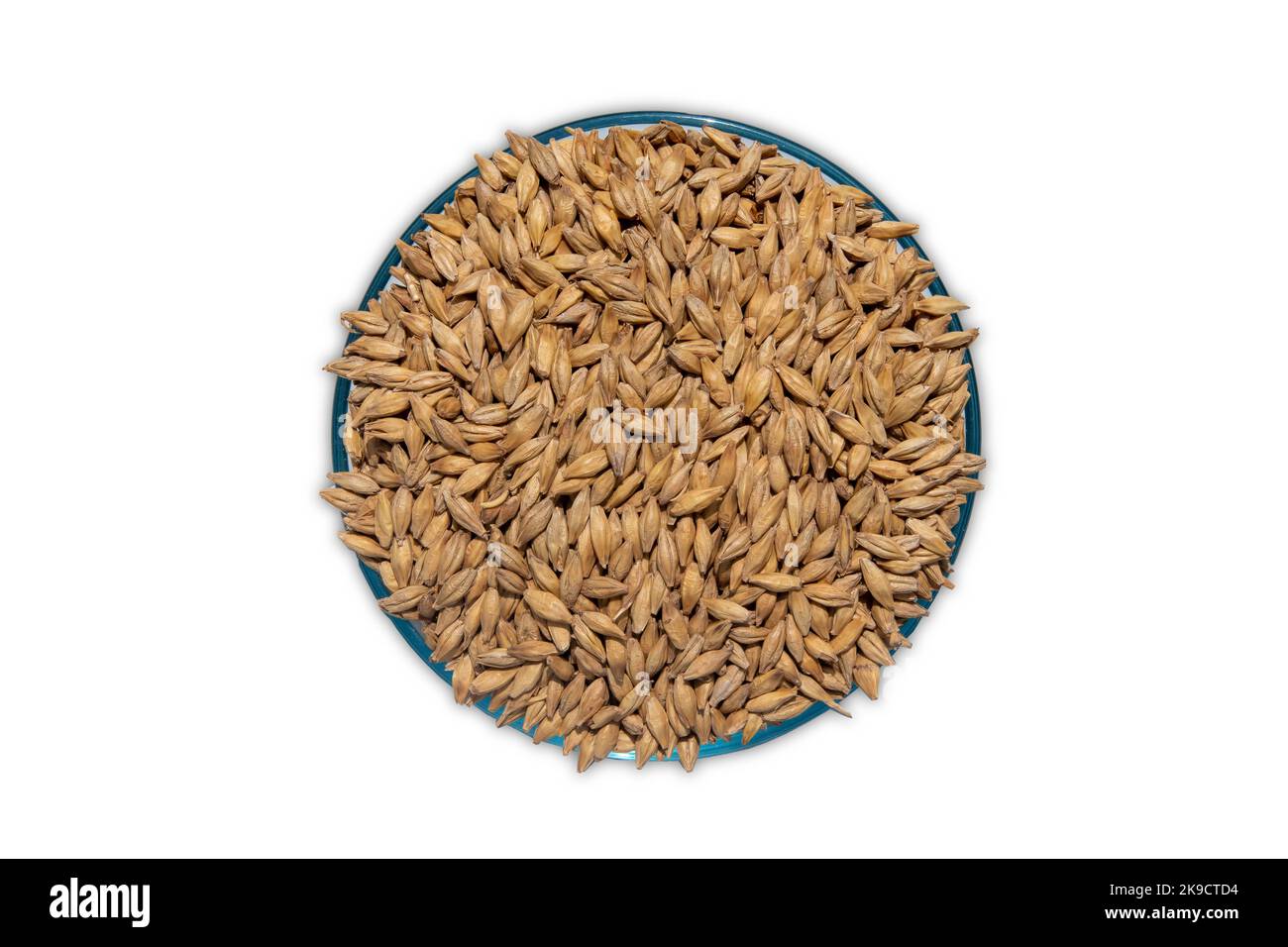 Malted wheat grain texture Cut Out Stock Images & Pictures - Alamy
