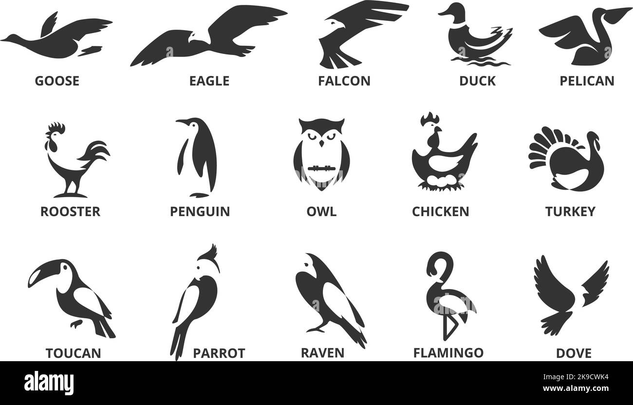 Negative space bird. Wild eagle and falcon, raven silhouette and owl ...