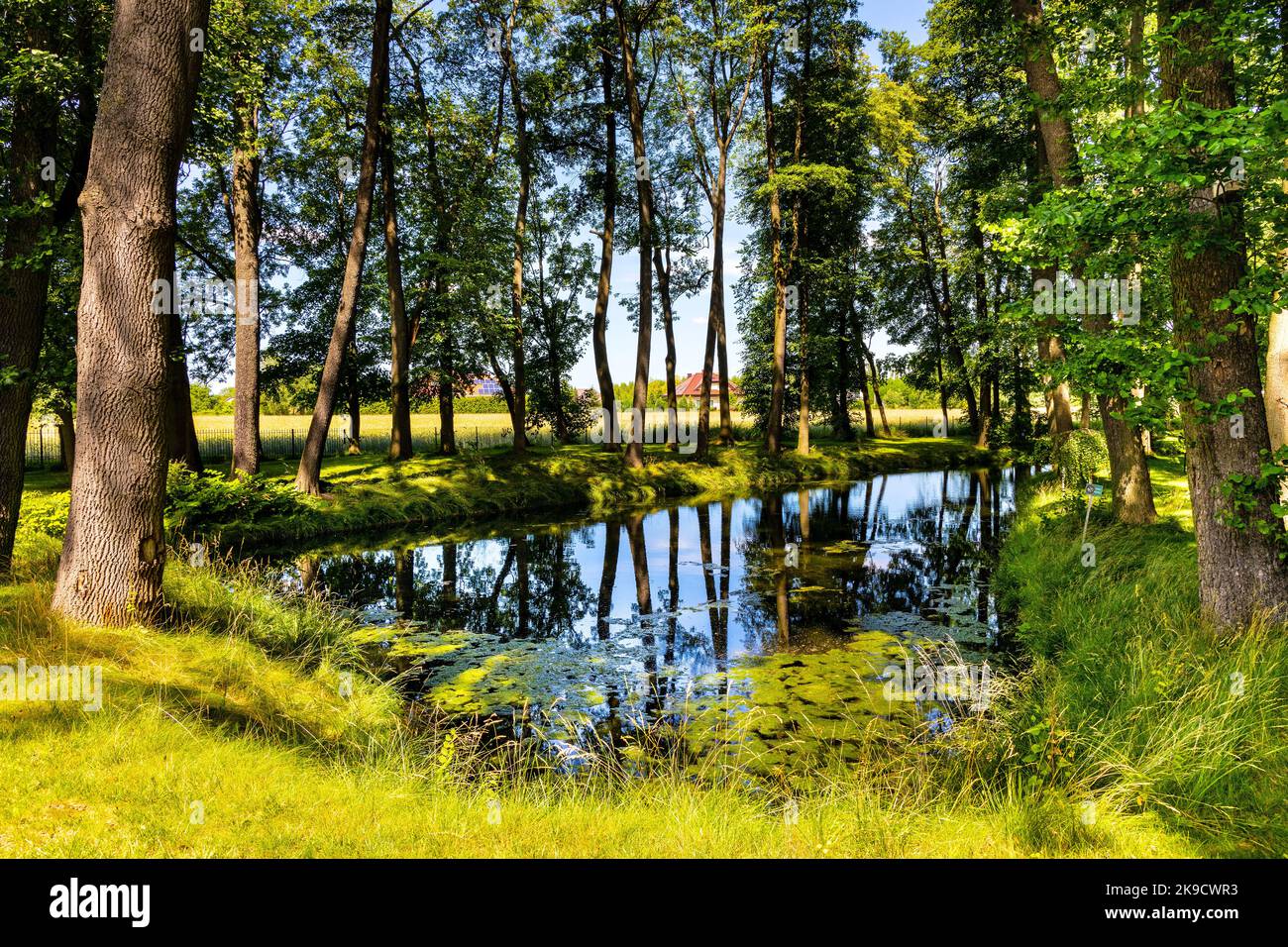Historic park surrounding XVI century Rozalin Palace with vintage trees ...