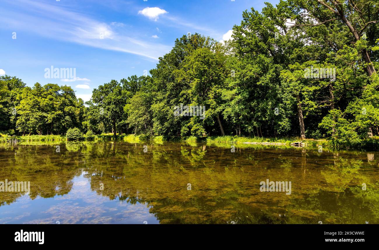 Rozalin hi-res stock photography and images - Alamy