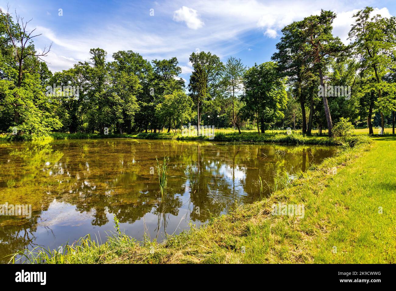 Historic park surrounding XVI century Rozalin Palace with vintage trees ...