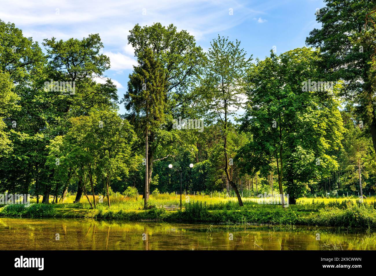 Historic park surrounding XVI century Rozalin Palace with vintage trees ...