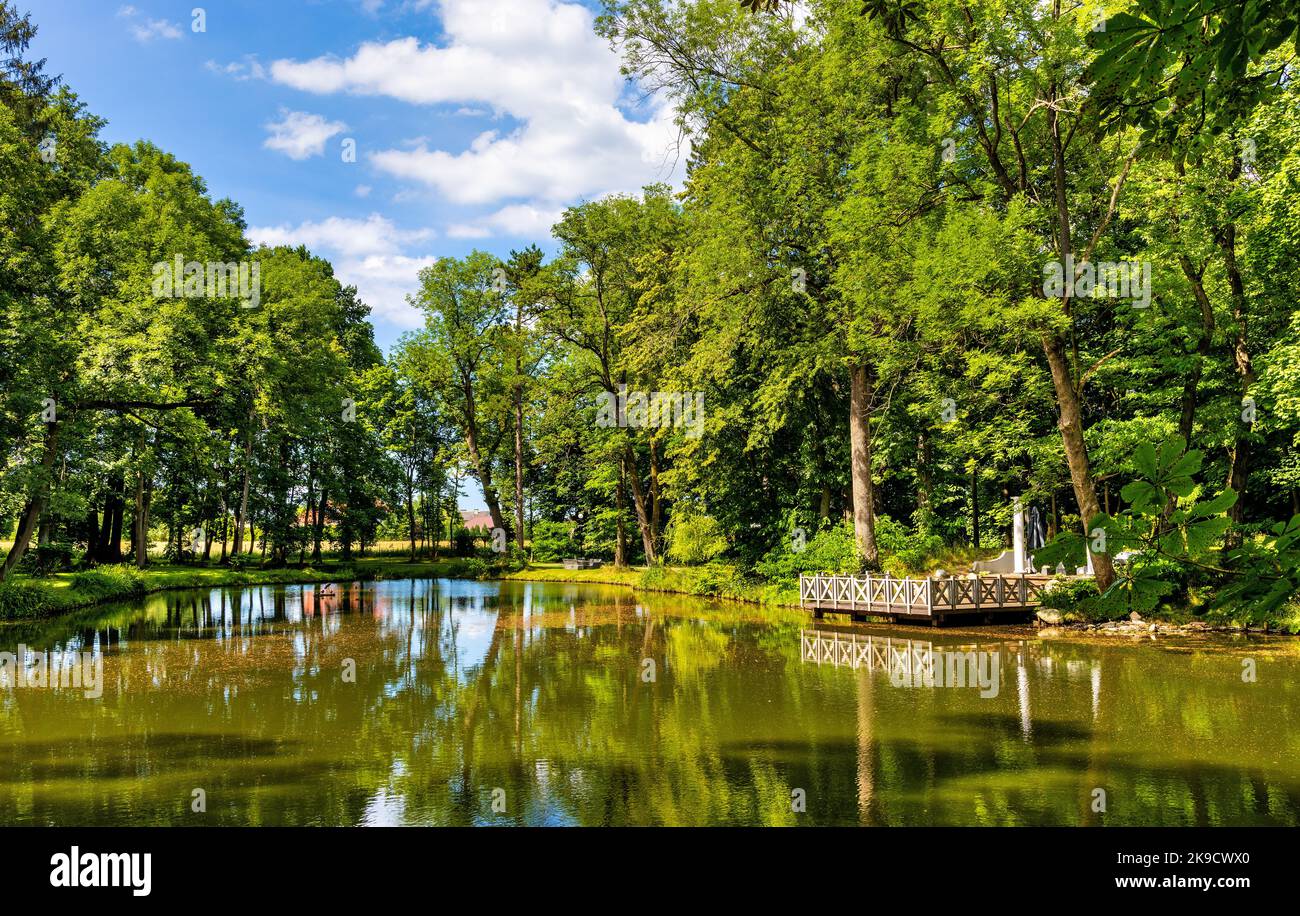 Historic park surrounding XVI century Rozalin Palace with vintage trees ...