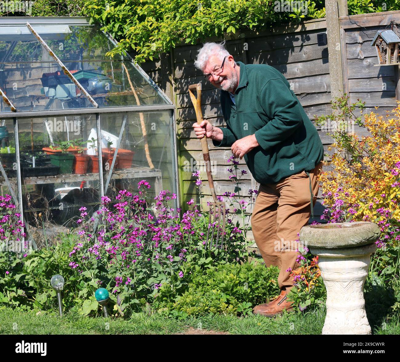 Old man gardening hi-res stock photography and images - Alamy