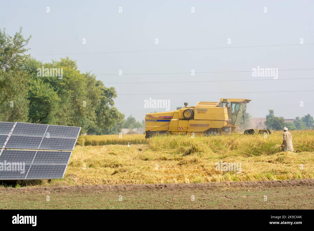 Solar panels for irrigation and combine harvester machine in the field ...