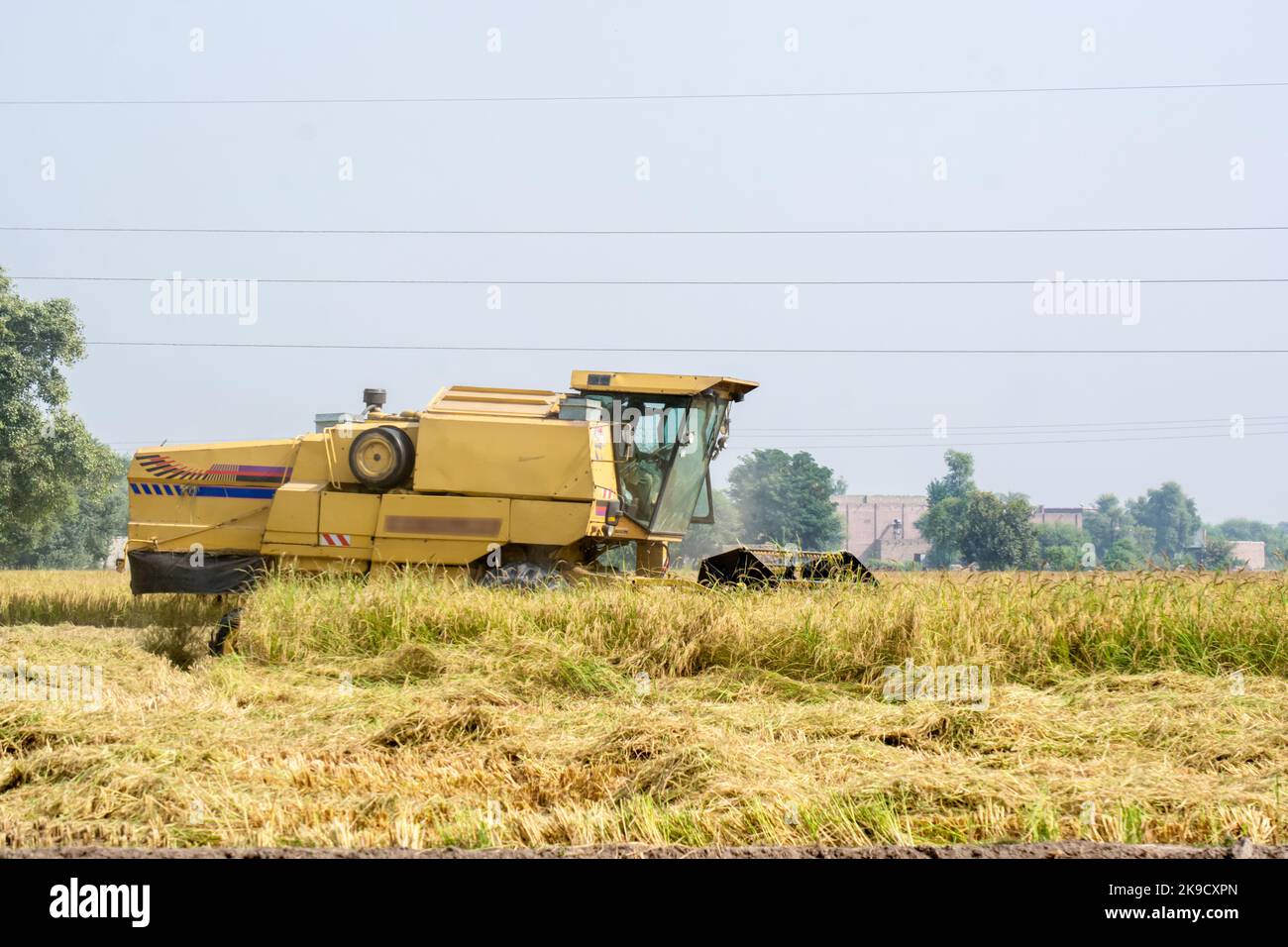 Combine harvester in the rice filed Stock Photo - Alamy