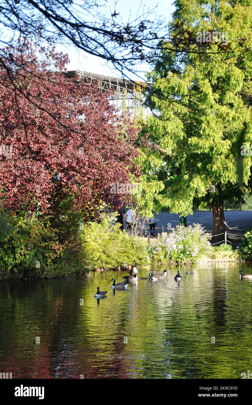 Autumn splendour, Broomfield Park, Palmer's Green, North London ...