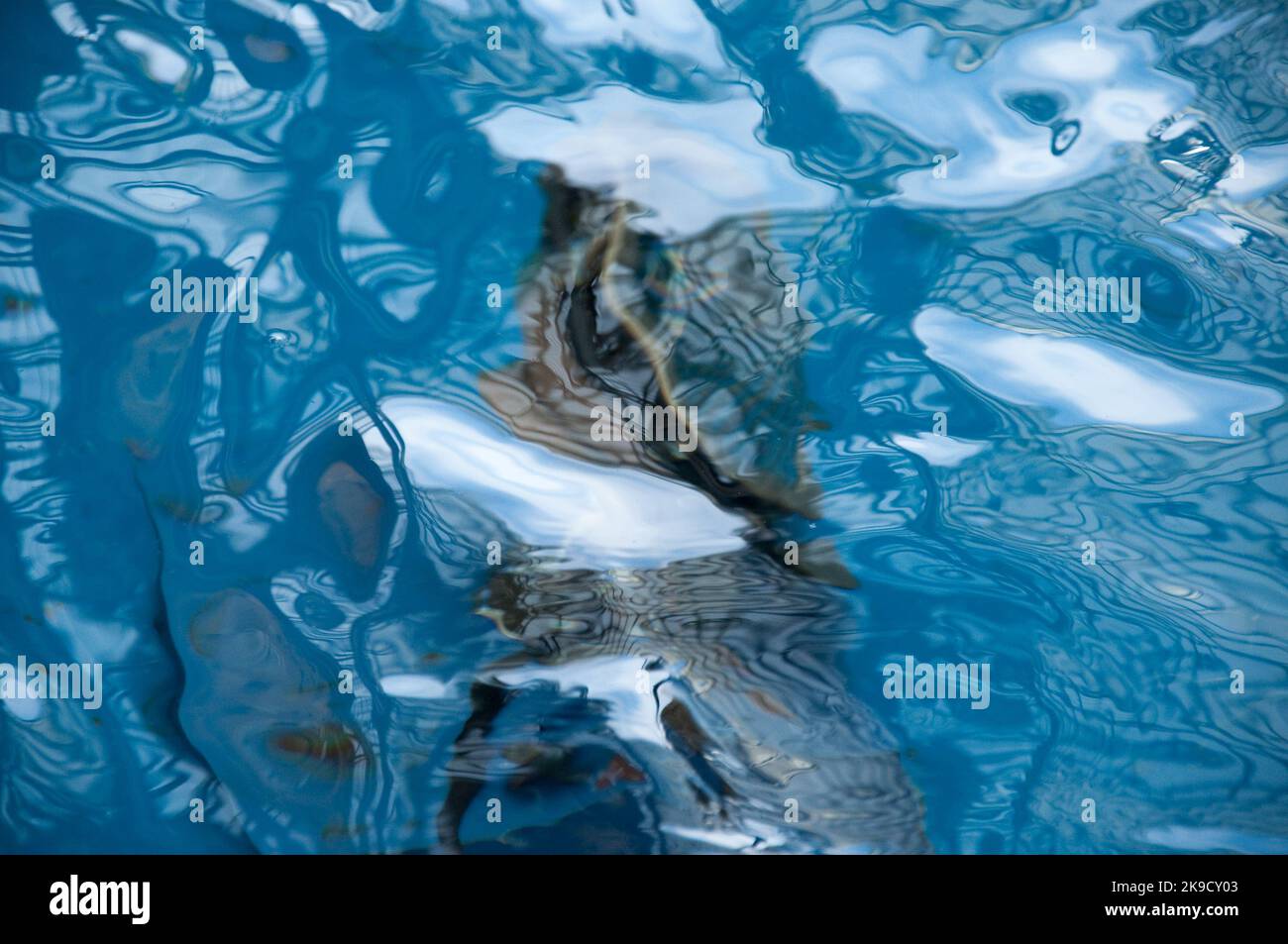 Underwater object affecting the movement of water in a pool, Southwark ...