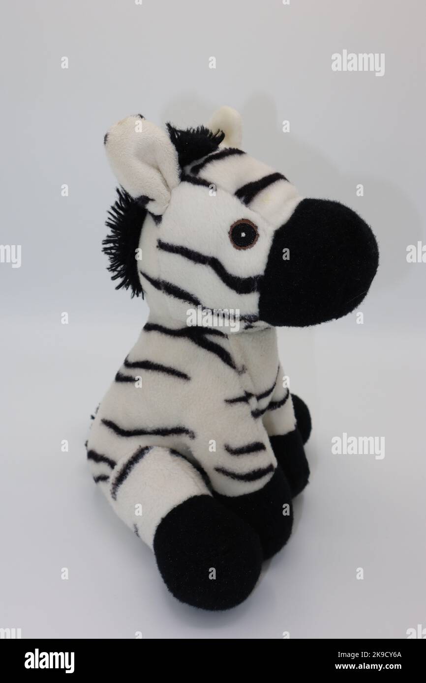 Cute black and white plush zebra figure, cuddle toy on white background ...