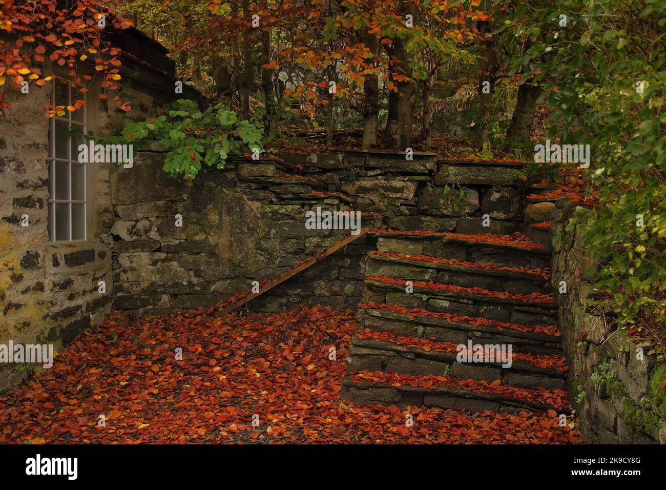 Park autumn trees leaves hi-res stock photography and images - Alamy