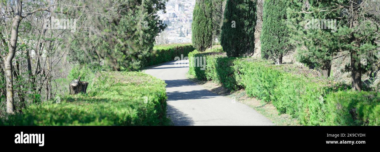 Beautiful roads in park with bushes and trees Stock Photo - Alamy