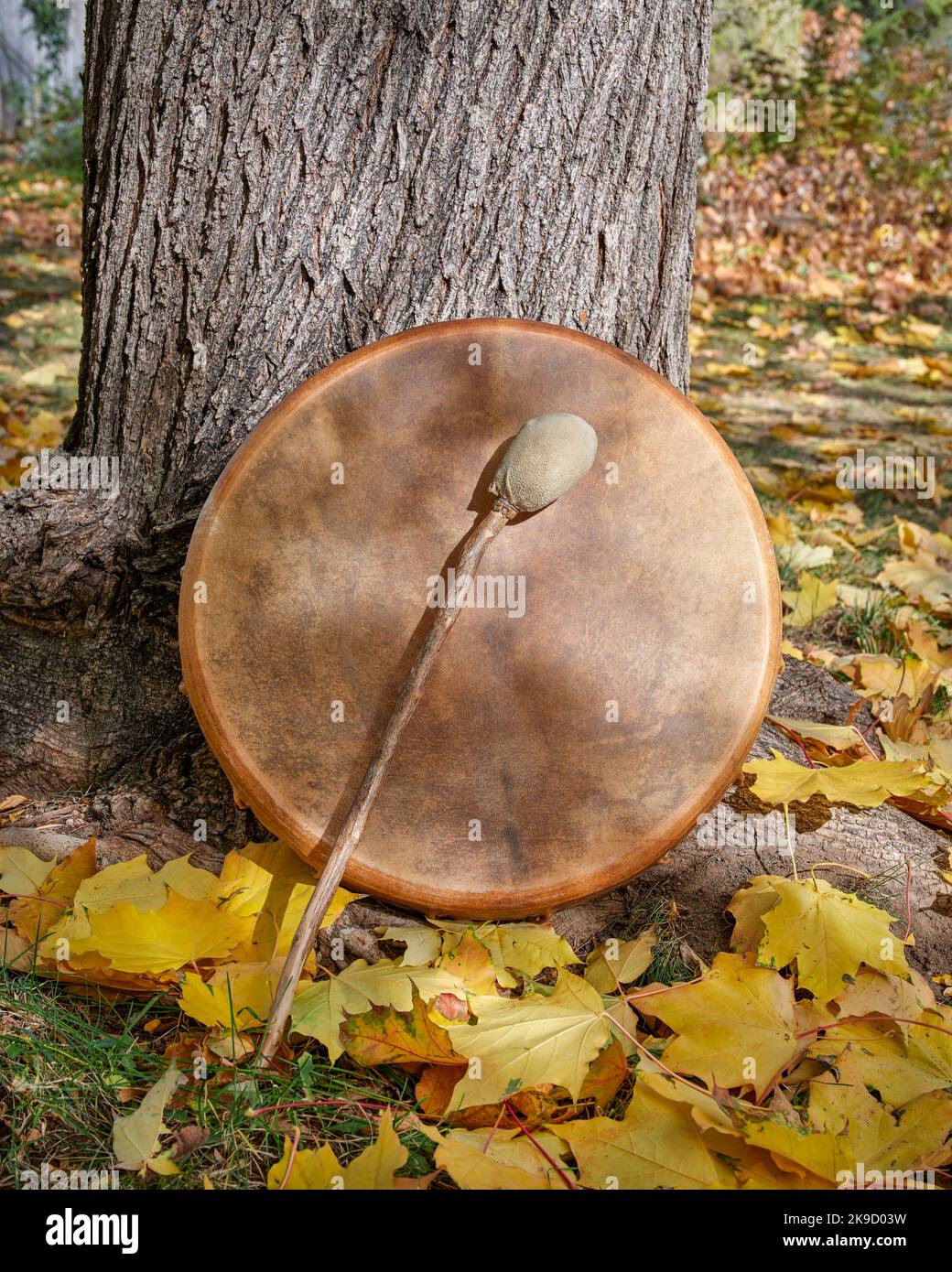 handmade, native American style, shaman frame drum covered by goat skin ...