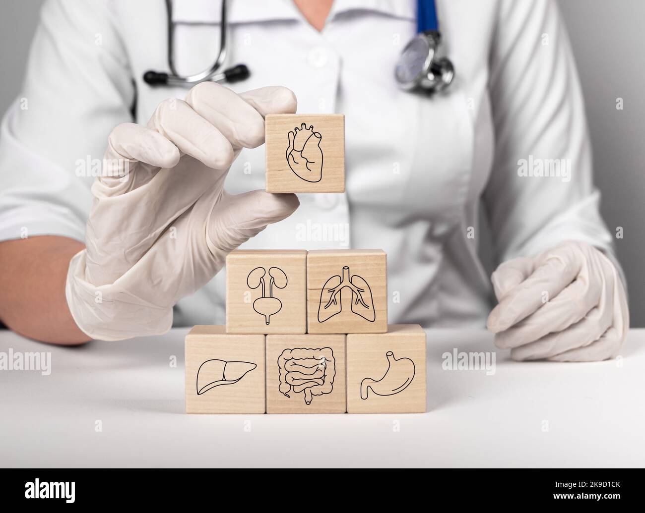 Full medical checkup concept. Healthcare, checking inner organs like ...