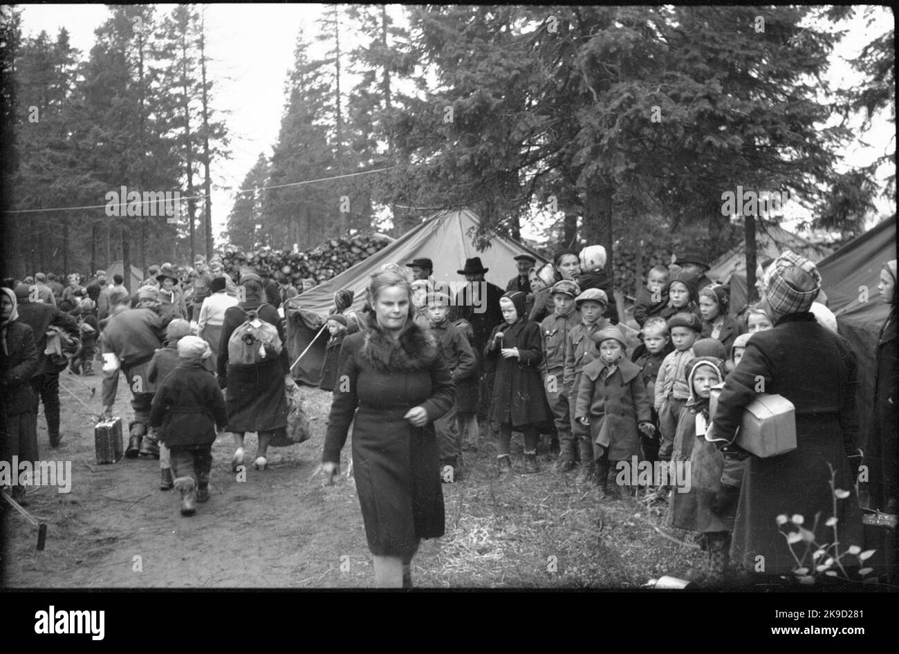 Evacuation of Finnish refugees, autumn 1944 Stock Photo - Alamy