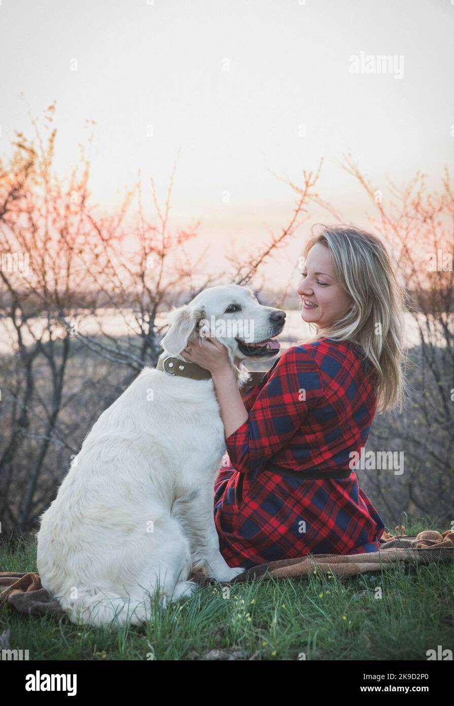 Beautiful woman in a dress with a dog at sunset in the forest Stock ...