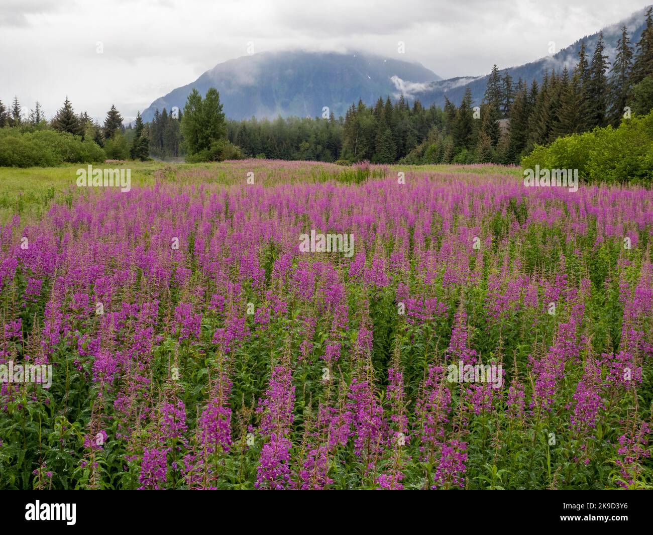Juneau park hi-res stock photography and images - Alamy