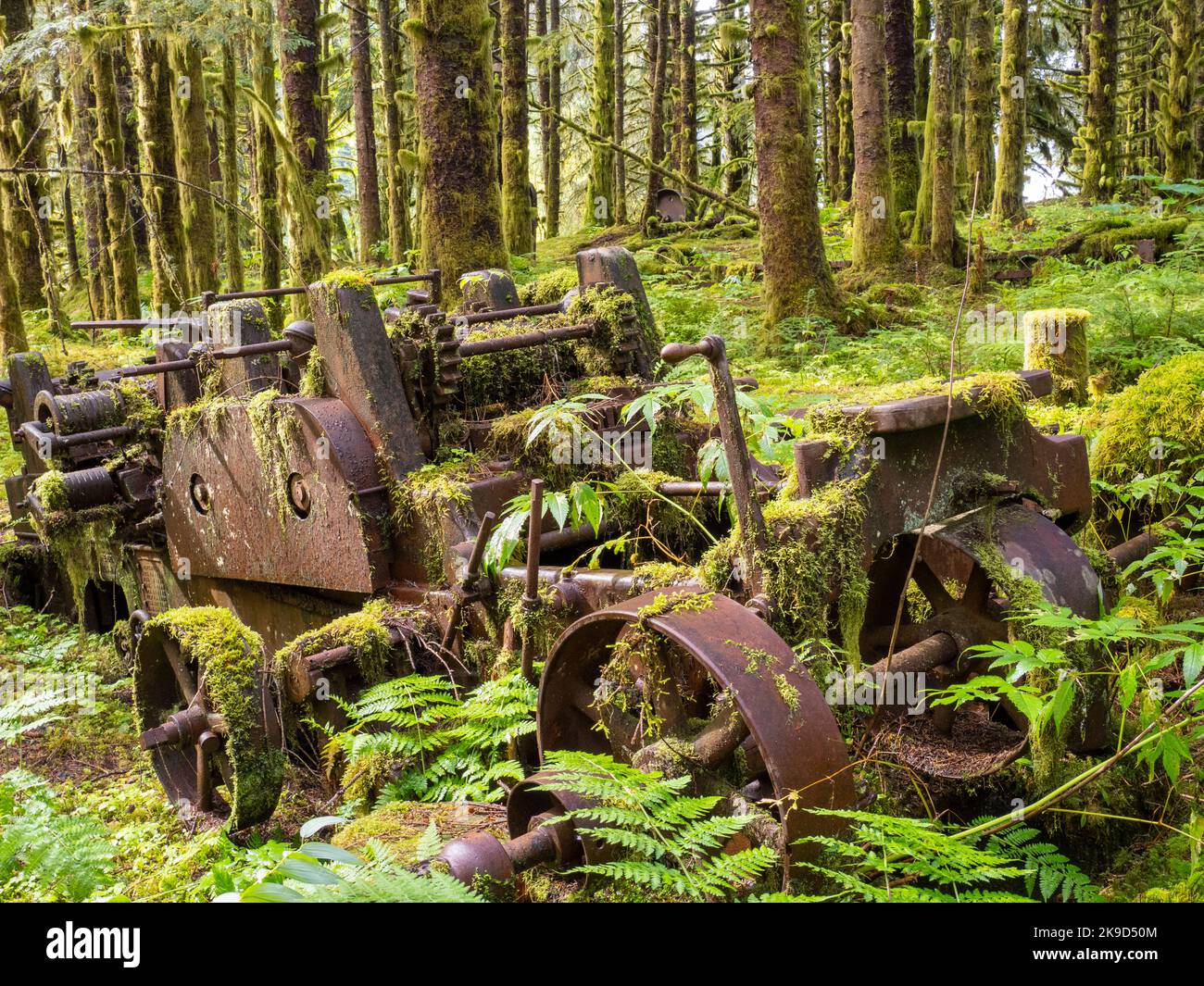 Tongass national forest logging hi-res stock photography and images - Alamy