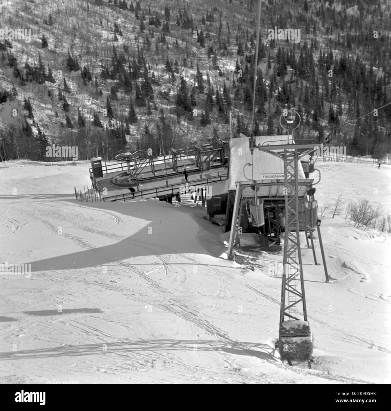 The cable car at the tree line Stock Photo - Alamy