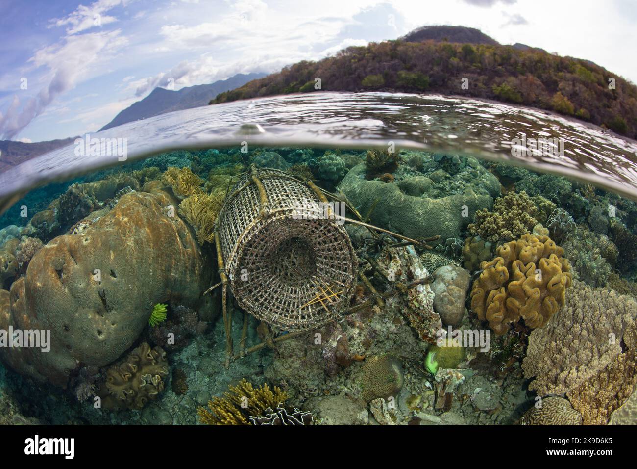 A traditional fish trap has been laid on a shallow, healthy reef near ...