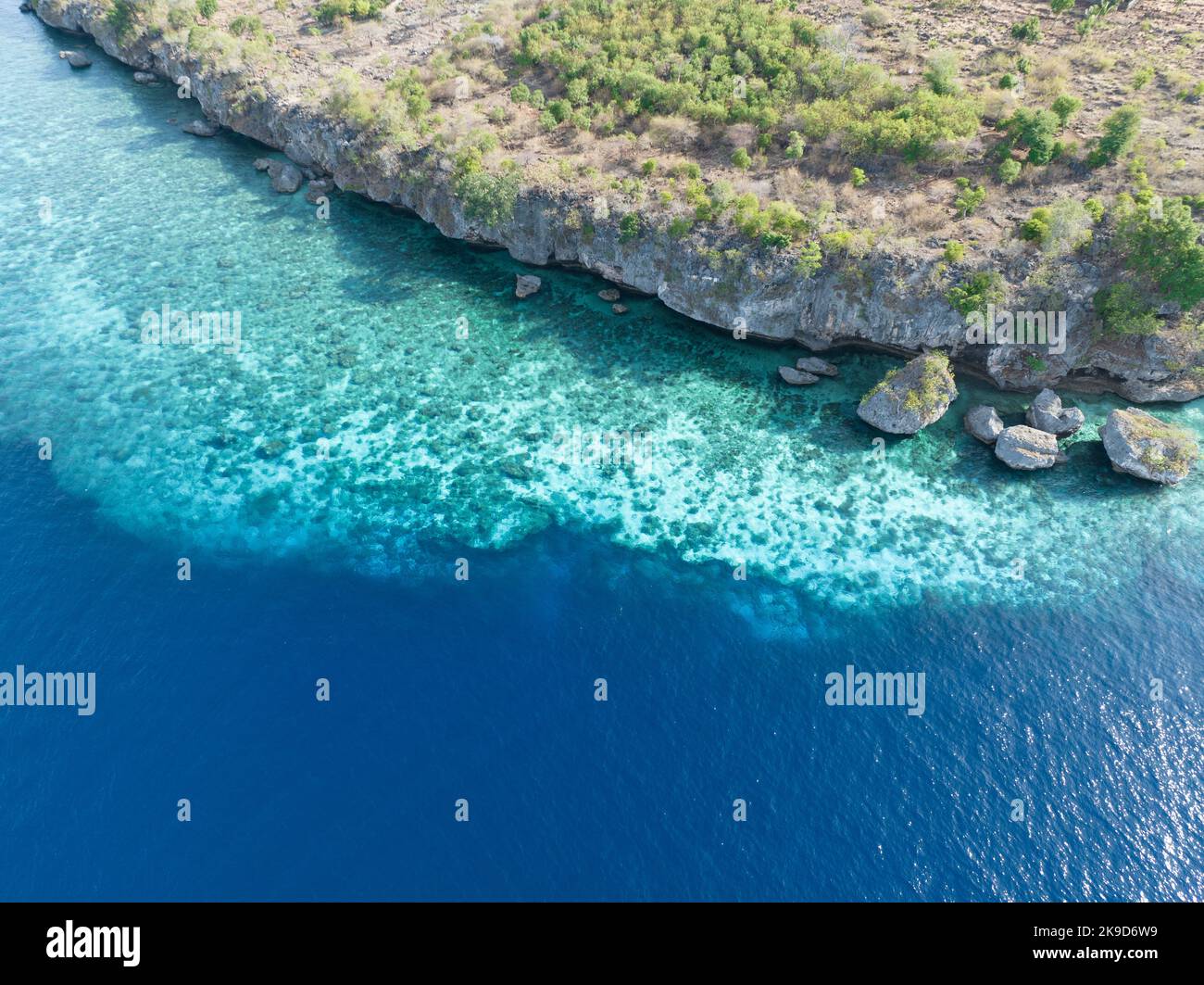 An extensive fringing reef grows along the edge of a remote island near ...