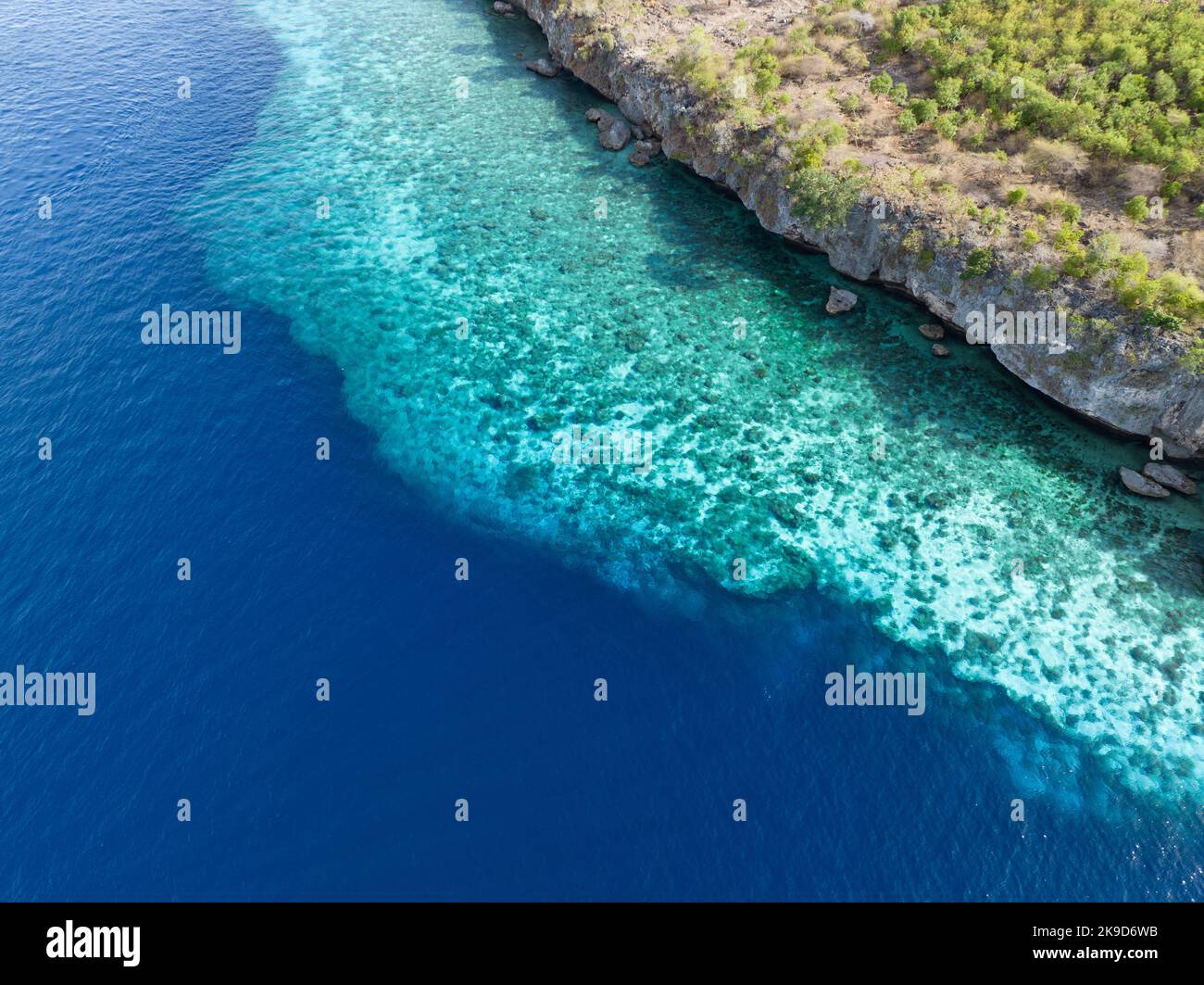 An extensive fringing reef grows along the edge of a remote island near ...