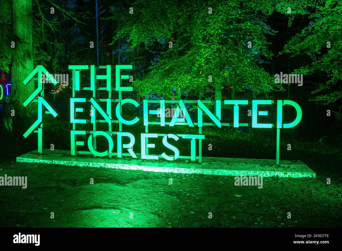 The Enchanted Forest, Faskally Forest, Pitlochry, Perthshire, Scotland ...