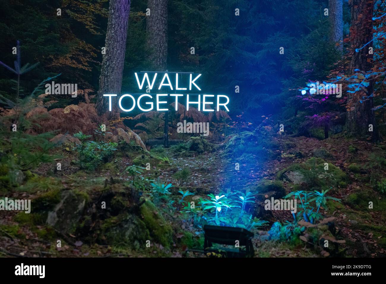 The Enchanted Forest, Faskally Forest, Pitlochry, Perthshire, Scotland ...