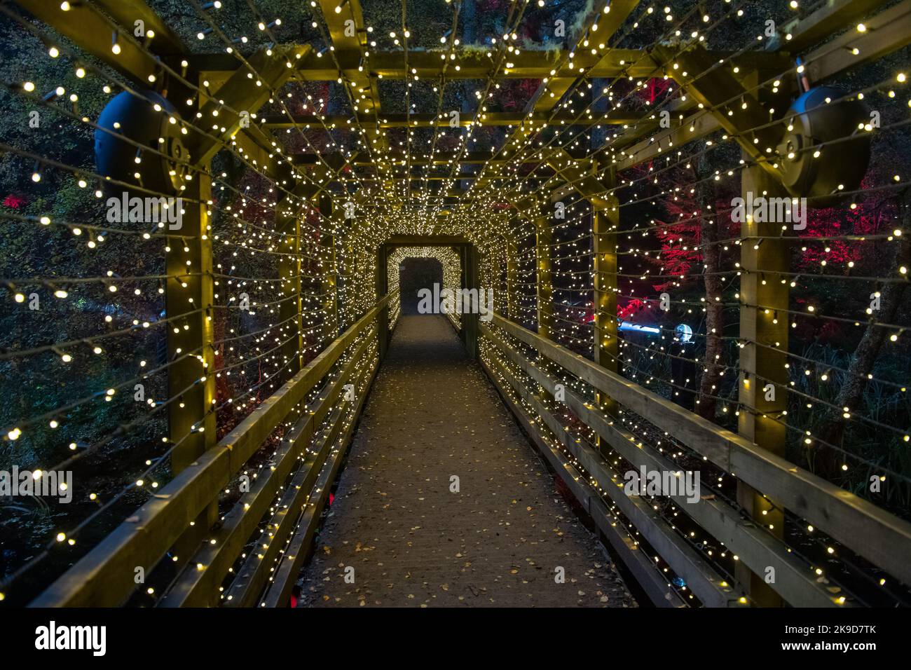 The Enchanted Forest, Faskally Forest, Pitlochry, Perthshire, Scotland ...