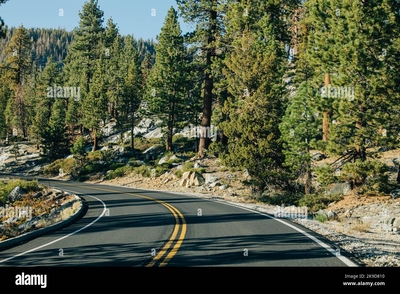 Curvy road through the wilderness on sunny day, California, USA Stock ...