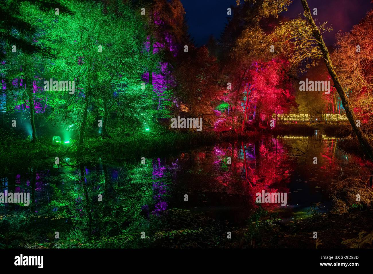 The Enchanted Forest, Faskally Forest, Pitlochry, Perthshire, Scotland ...