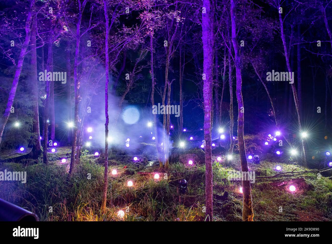 The Enchanted Forest, Faskally Forest, Pitlochry, Perthshire, Scotland ...