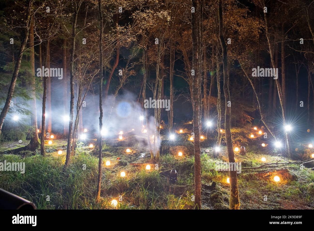 The Enchanted Forest, Faskally Forest, Pitlochry, Perthshire, Scotland ...