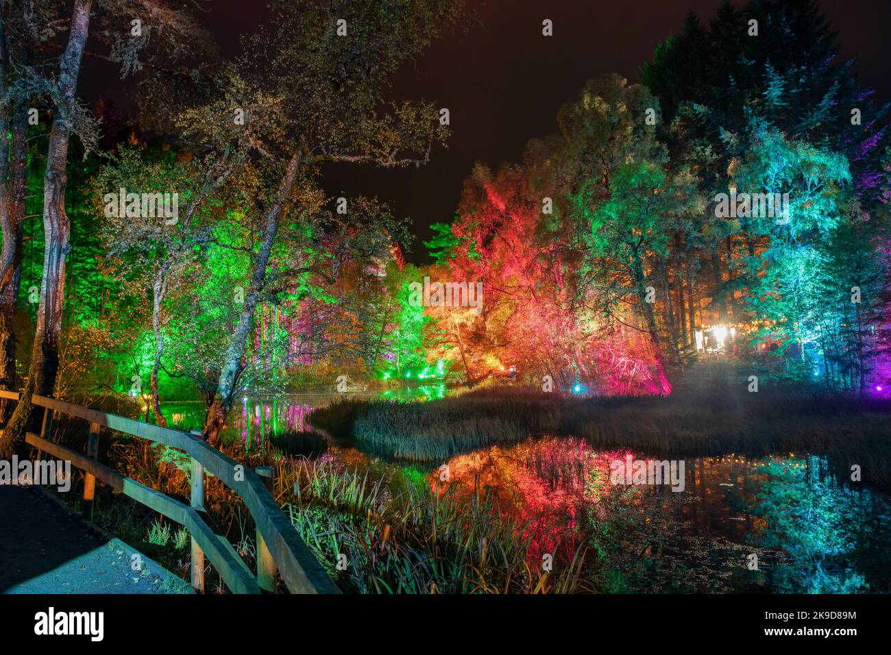 The Enchanted Forest, Faskally Forest, Pitlochry, Perthshire, Scotland ...