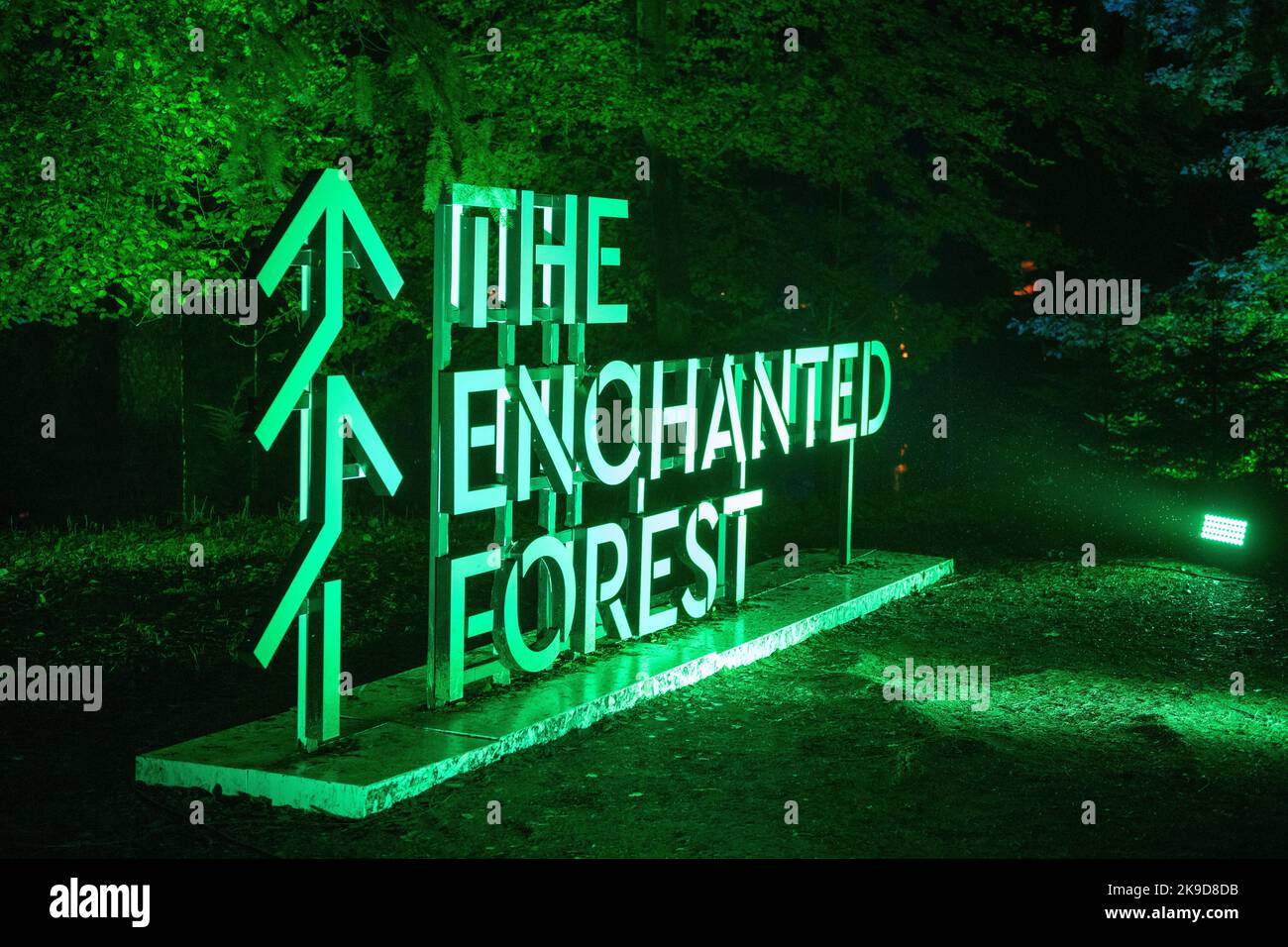 The Enchanted Forest, Faskally Forest, Pitlochry, Perthshire, Scotland ...