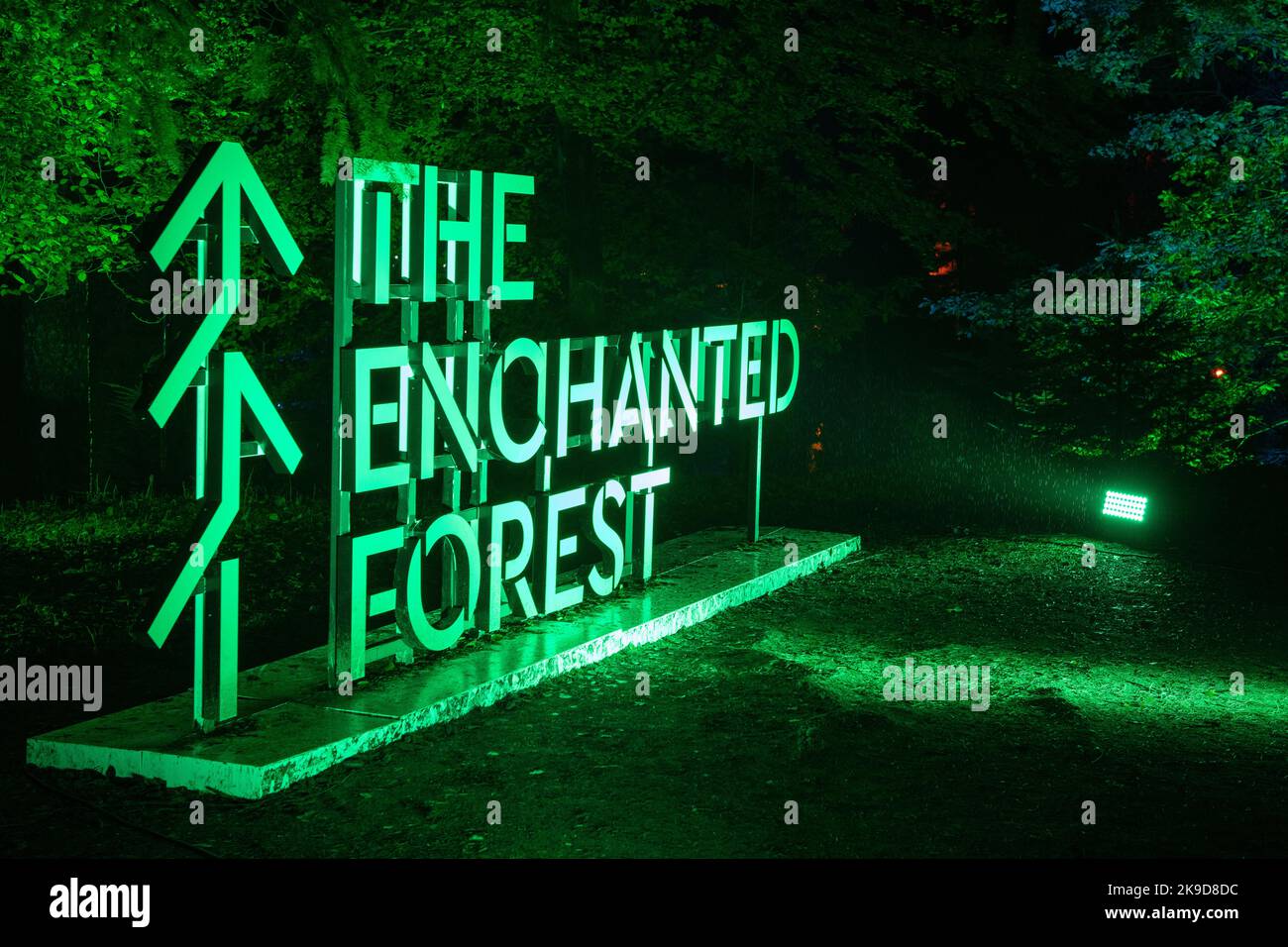 The Enchanted Forest, Faskally Forest, Pitlochry, Perthshire, Scotland ...