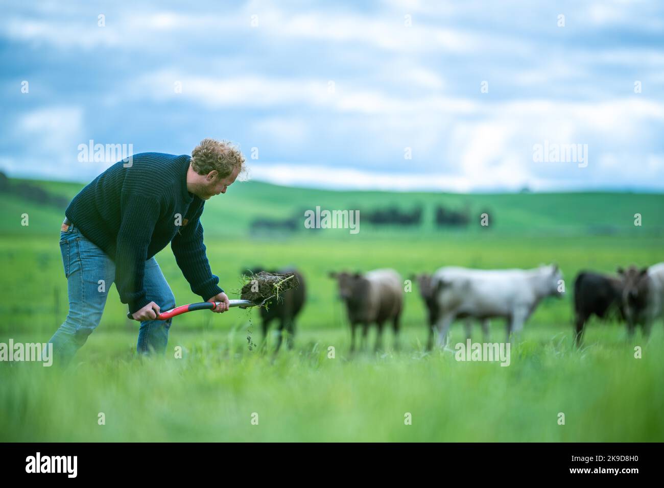 farming looking at soil on a farm in spring Stock Photo - Alamy