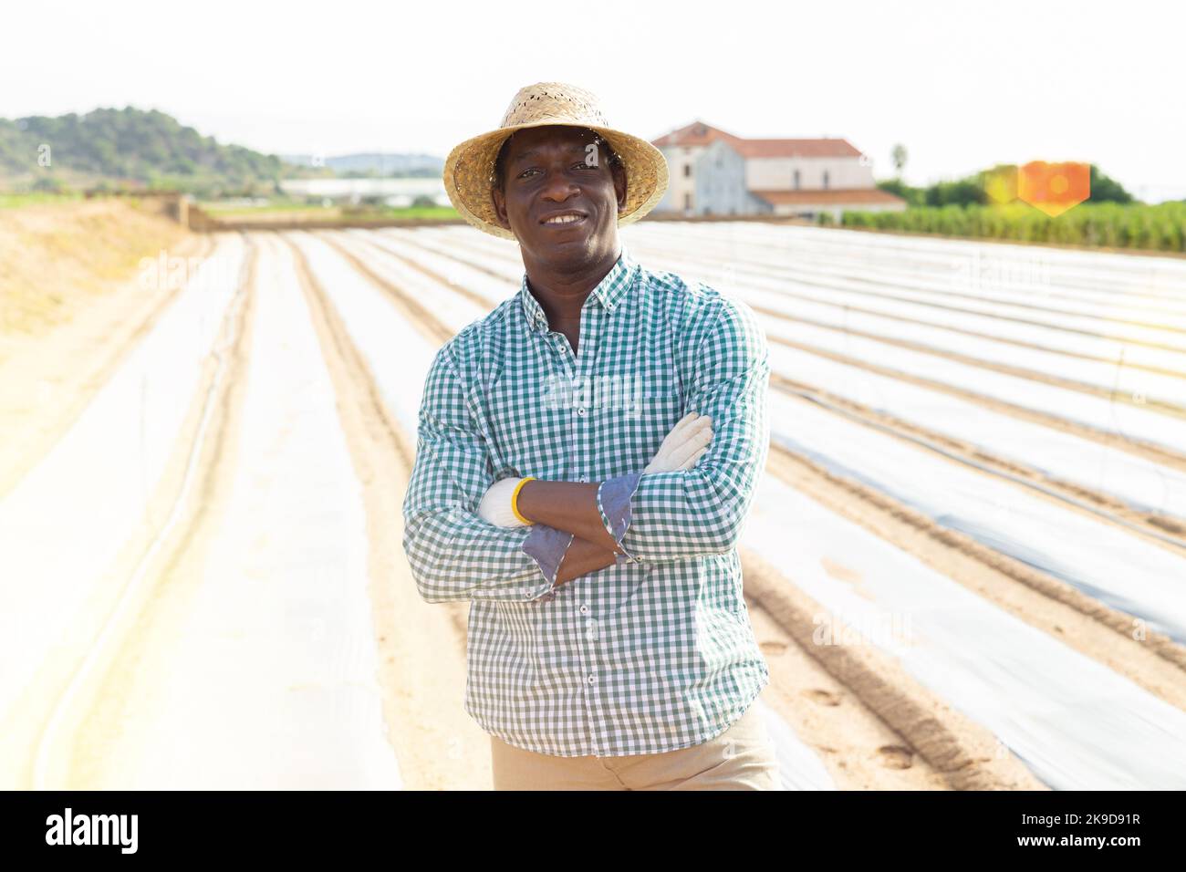 African american farmer standing in field covered with polyethylene ...