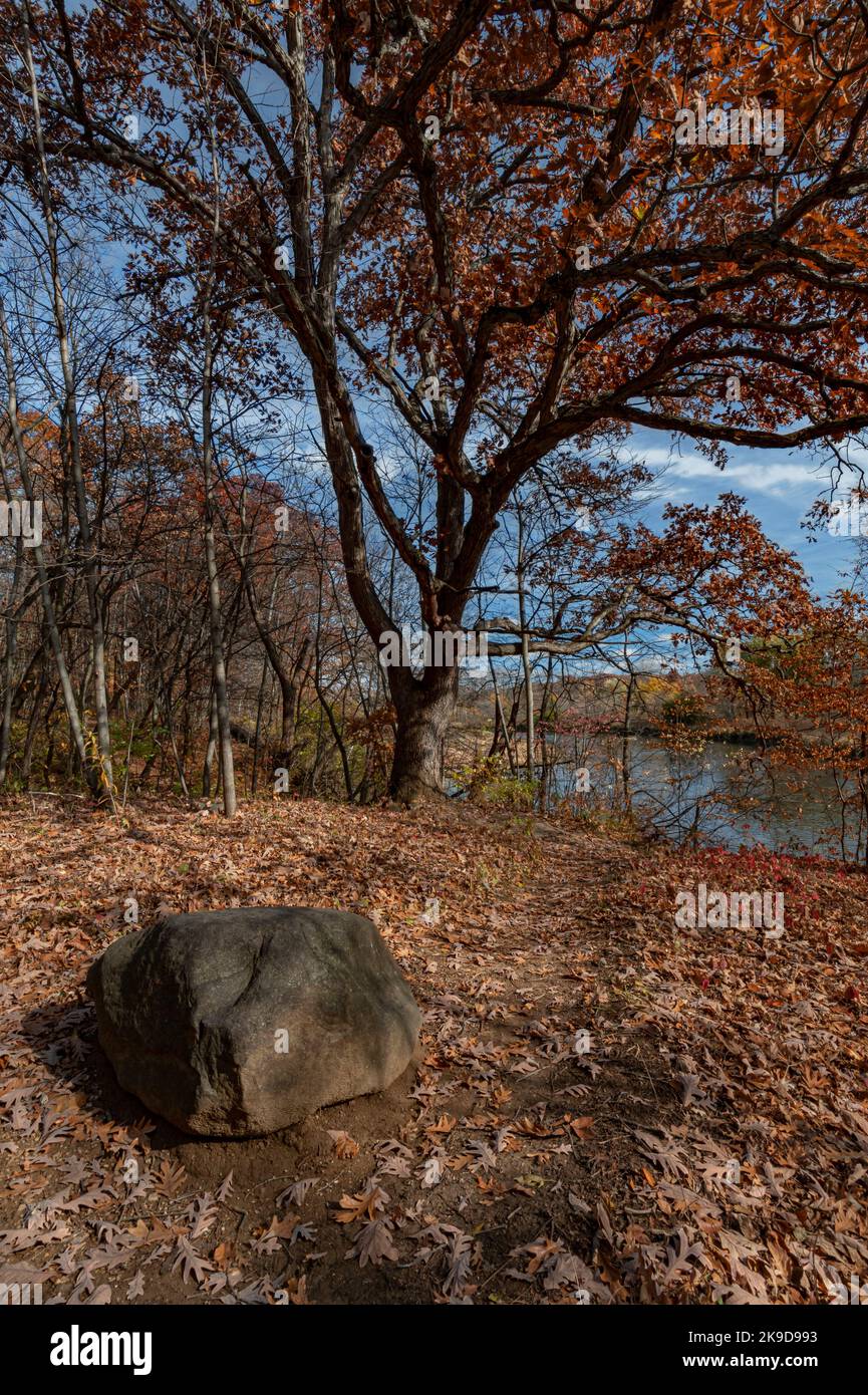 The DuPage River flows through Hammel Woods Forest Preserve in Will ...