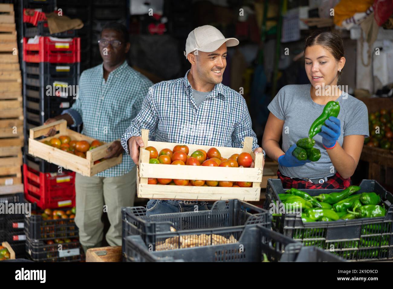 Positive vegetable warehouse workers communicate with each other while ...