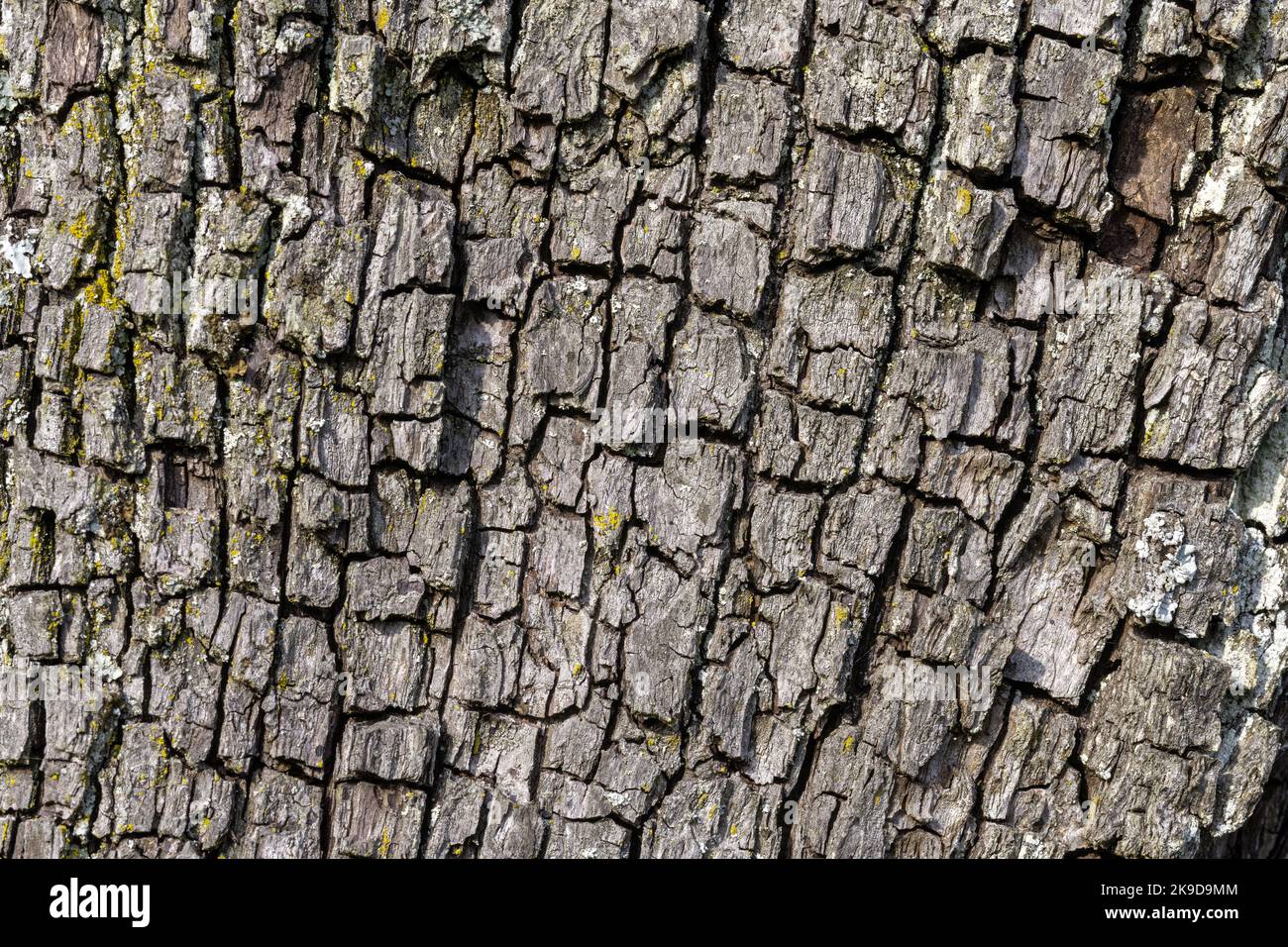 Blocky hi-res stock photography and images - Alamy