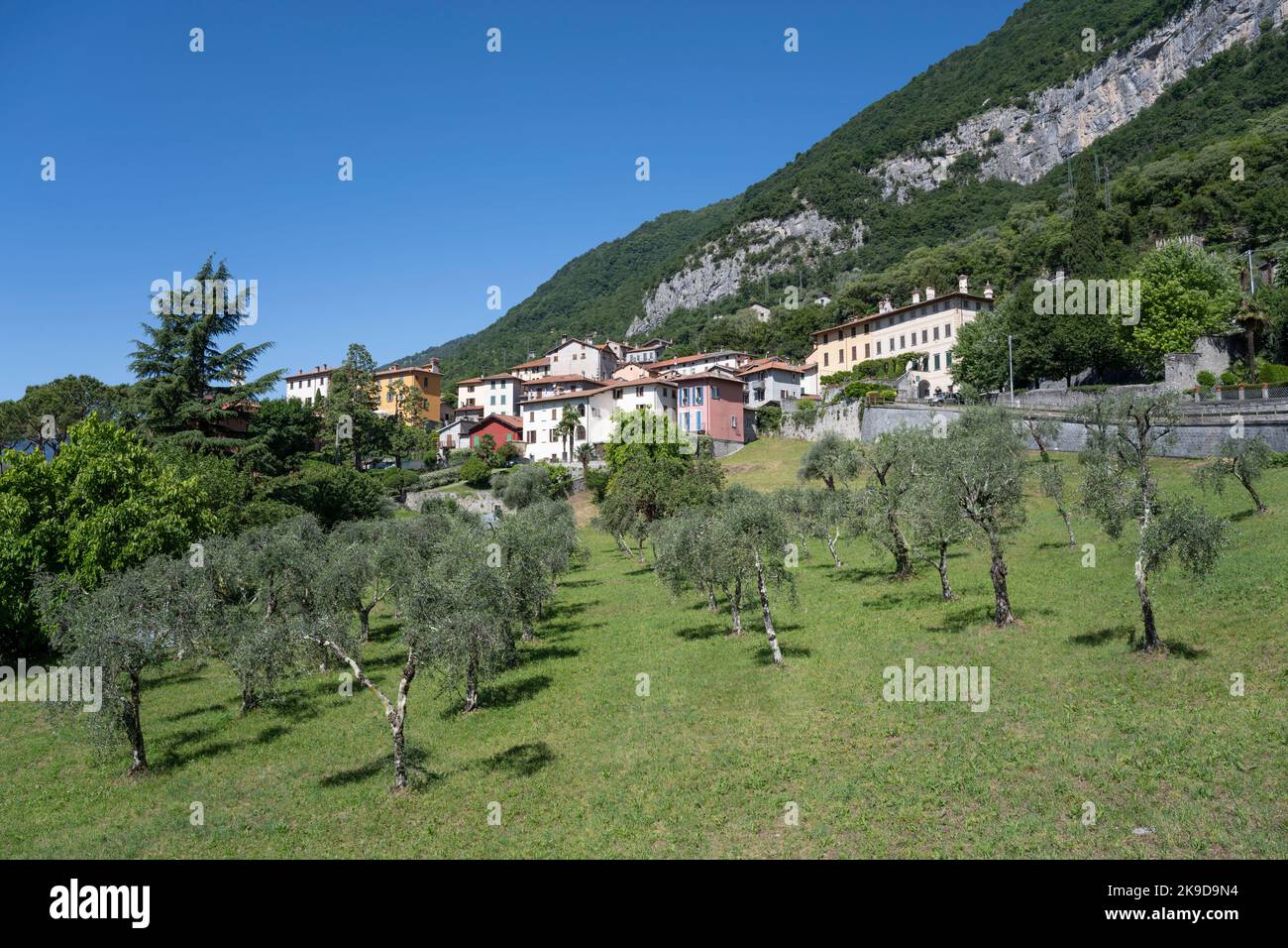 Village of Bonzanigo in the Mezzegra Municipality, Lake Como, Lombardy ...