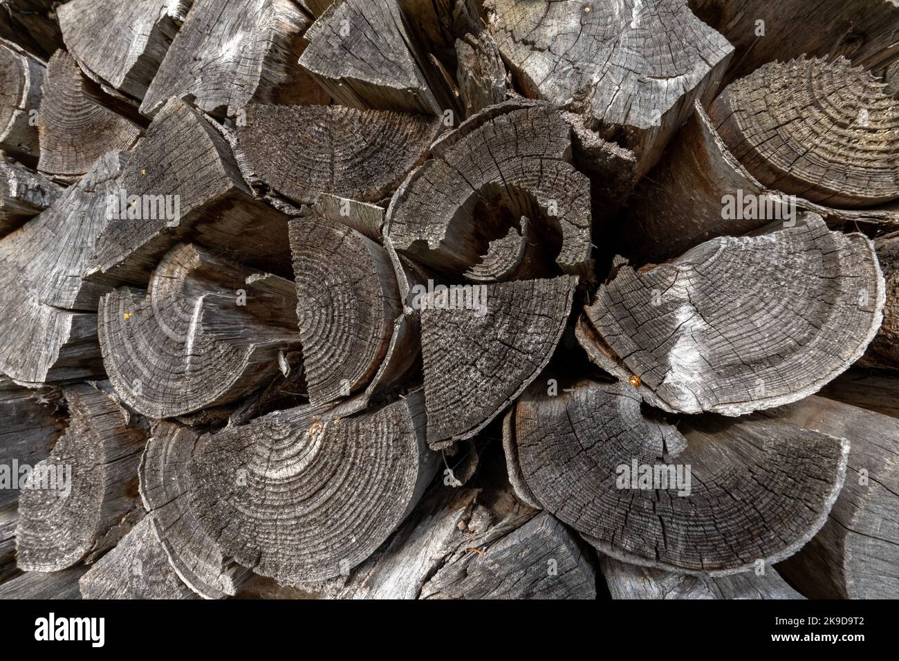 Firewood background - chopped firewood on a stack Stock Photo - Alamy