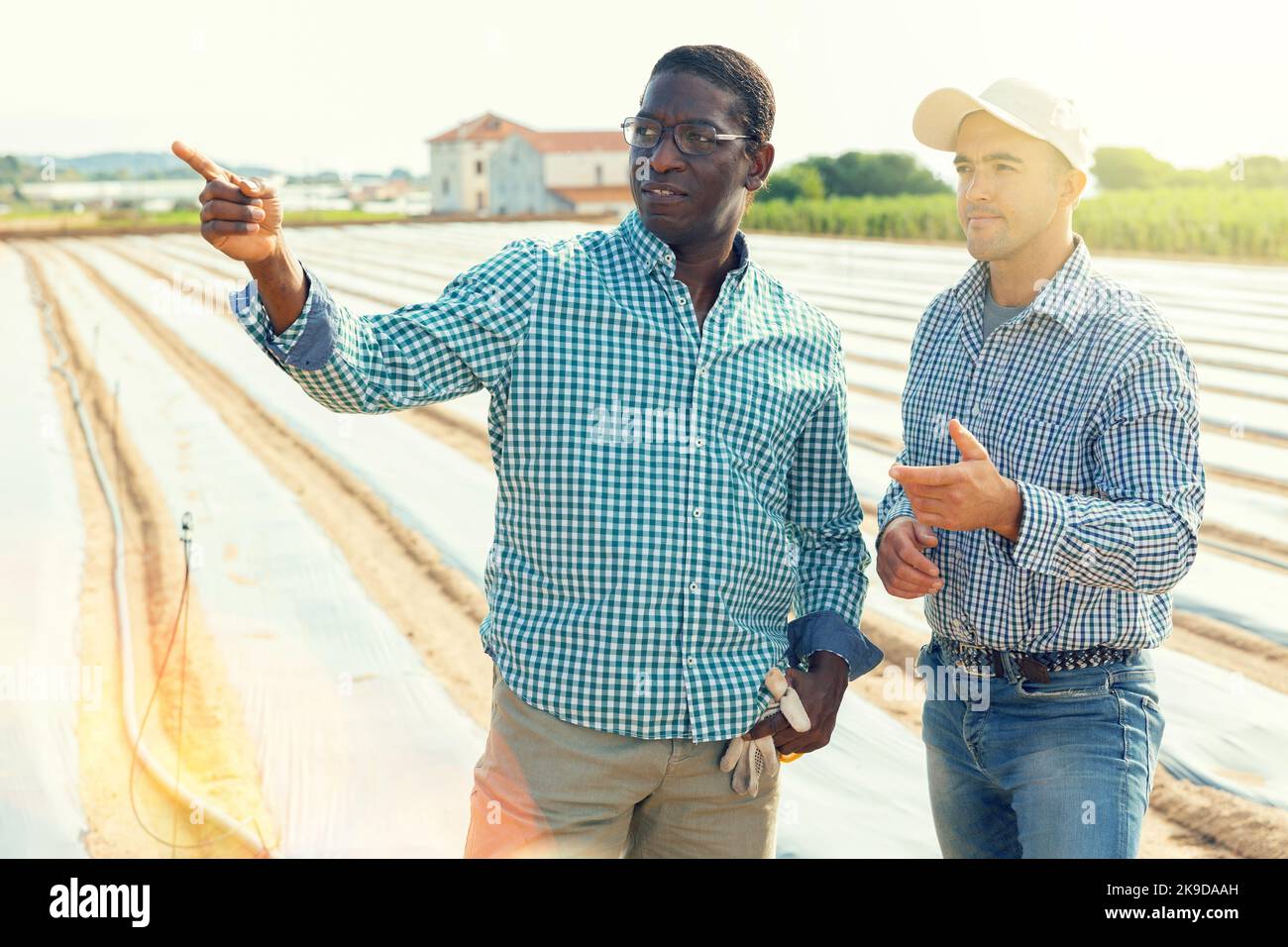 Hand man owner farm hi-res stock photography and images - Alamy