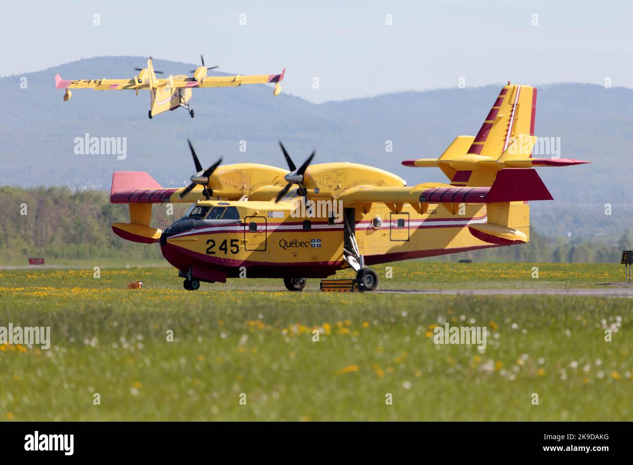 Canadair cl 415 built hi-res stock photography and images - Alamy