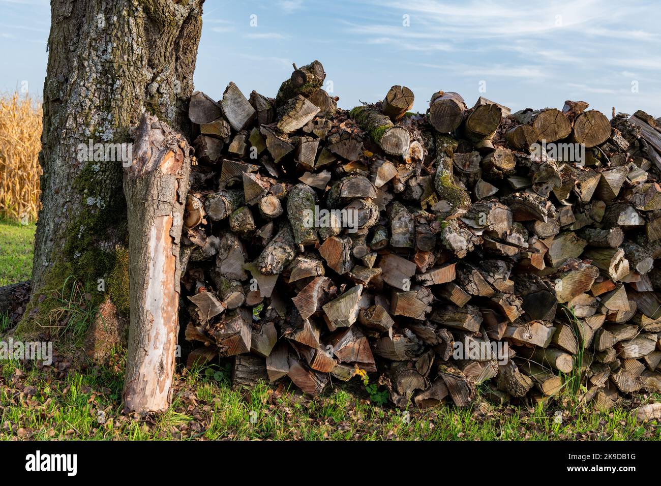Firewood background - chopped firewood on a stack Stock Photo - Alamy