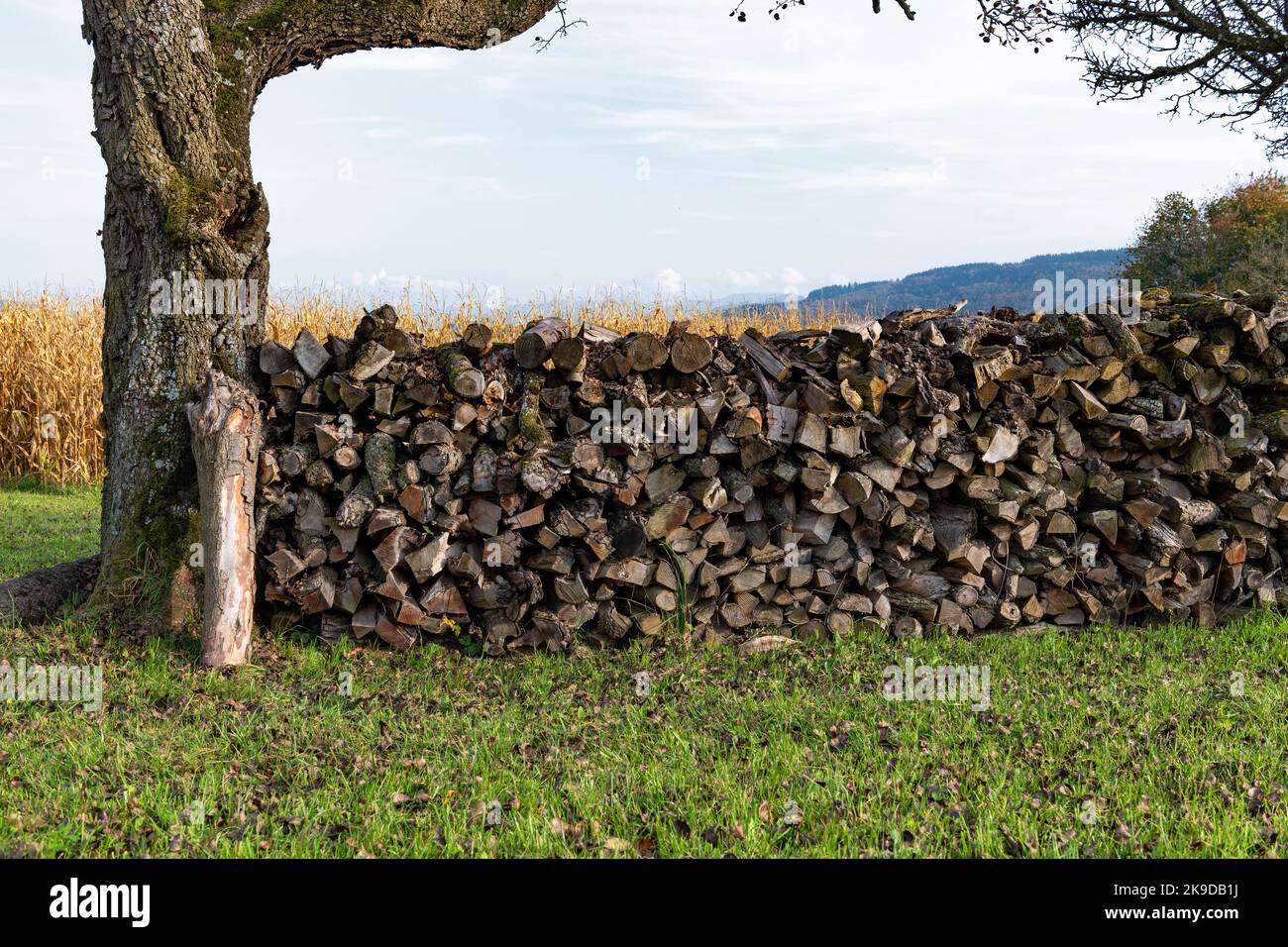 Firewood background - chopped firewood on a stack Stock Photo - Alamy