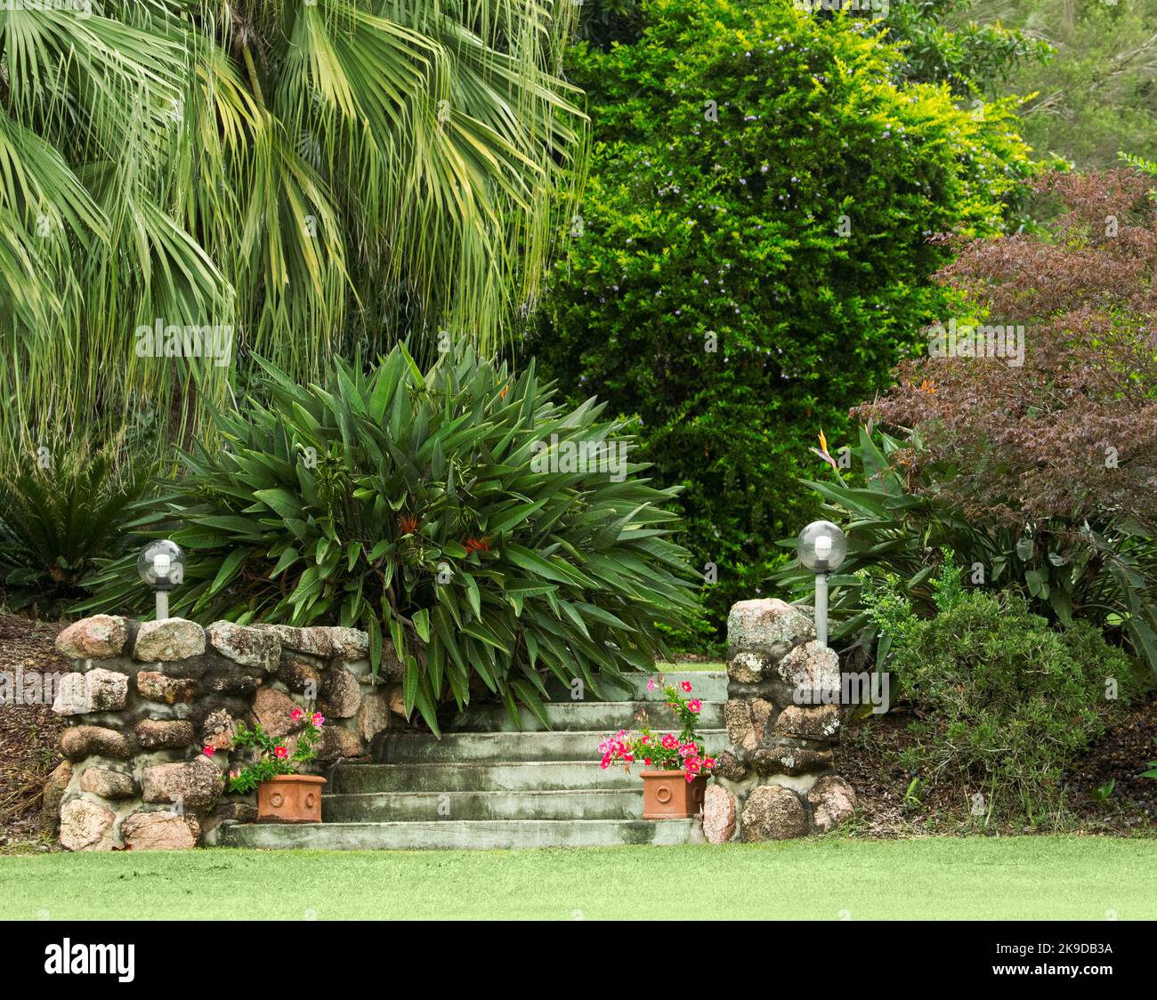 Garden with stone steps leading from verdant lawn into garden congested ...