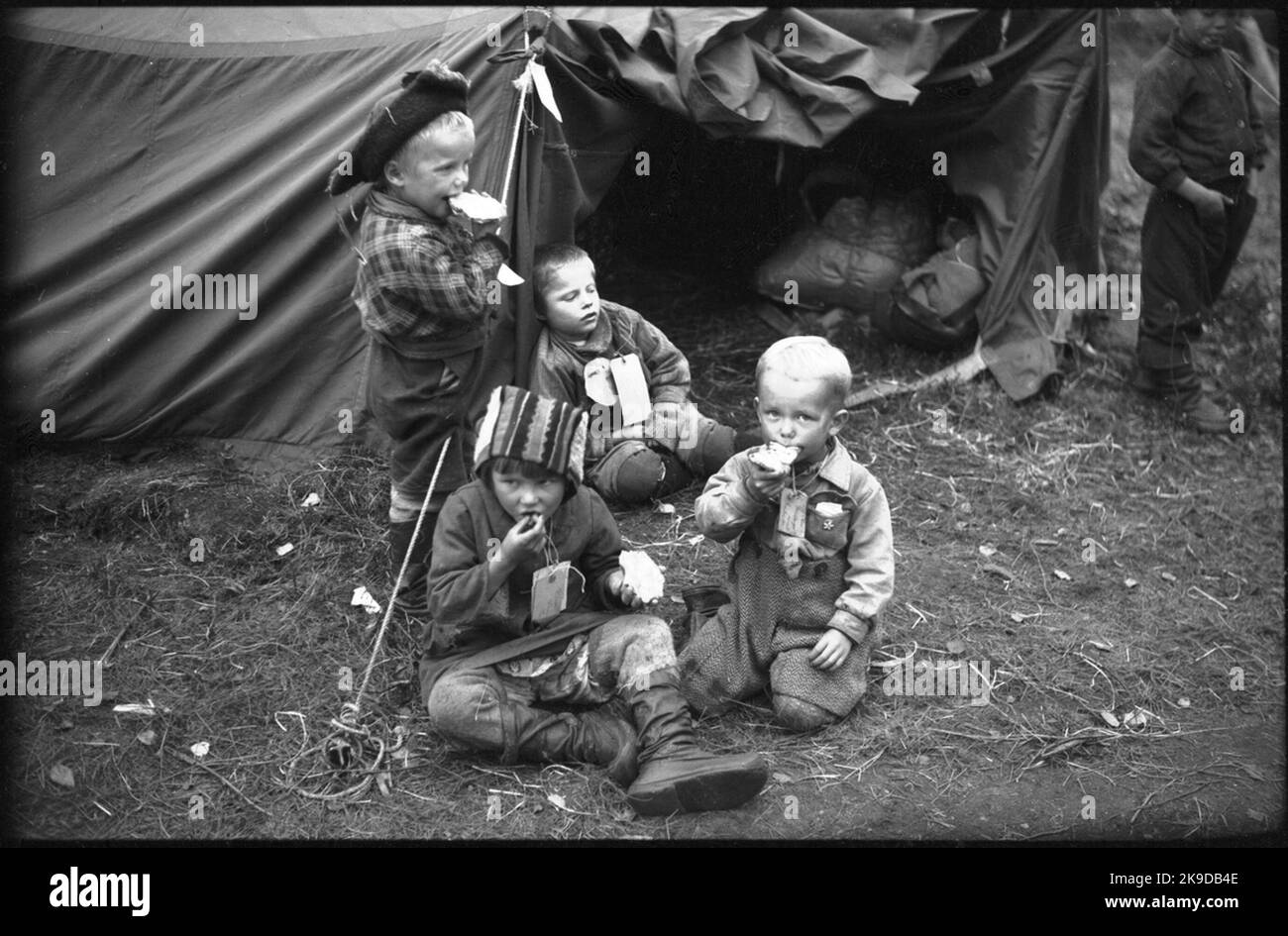 Evacuation of Finnish refugees, autumn 1944 Stock Photo - Alamy