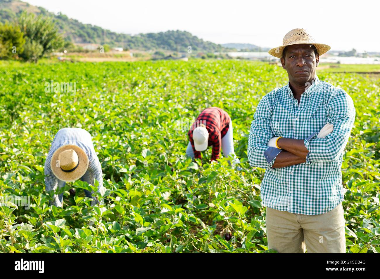 Portrait of confident farm owner in front of his farm on sunny summer ...