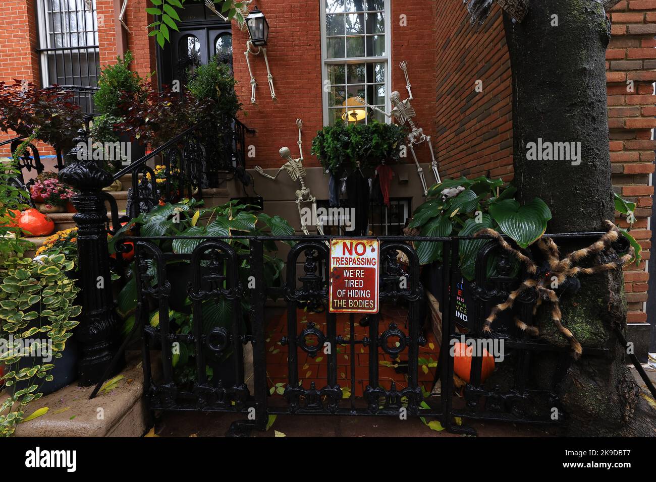 NEW YORK, NEW YORK - October 26, 2022: This townhouse small yard is ...
